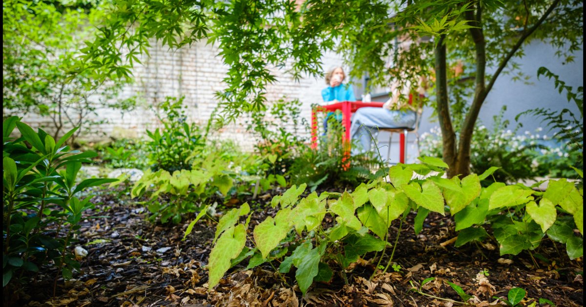 Veelgestelde vragen over de Velt-ecotuindagen | Velt